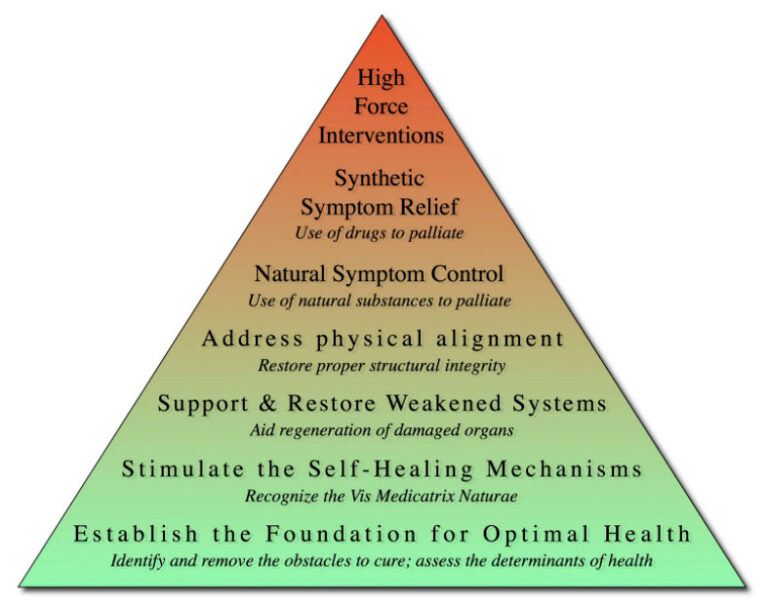 Naturopathic Medicine | Dr. Angela Hardin